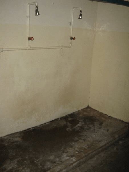 Shower Troubles Revisited Above All Else