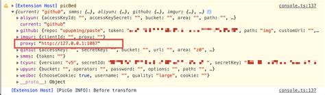 Help Wanted How Can I Make Vs Picgo Work Behind The Proxy Issue PicGo Vs Picgo GitHub