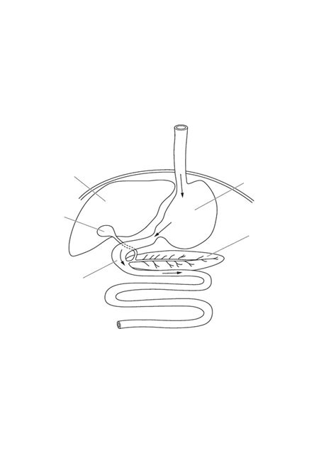 Igcse Bio Paper 4 Mock Pdf
