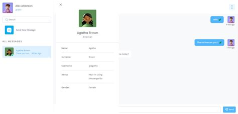 MessengerGo PHP Script By Webimgocom Codester