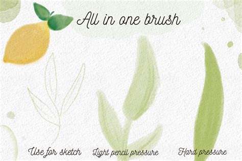 Watercolor And Texture Brushes For Procreate Design Cuts