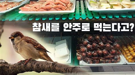 참새를 안주로 먹는 곳 Feat 허영만의 백반기행 네이버 Tv