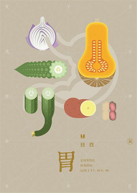 中医食疗养生信息可视化设计