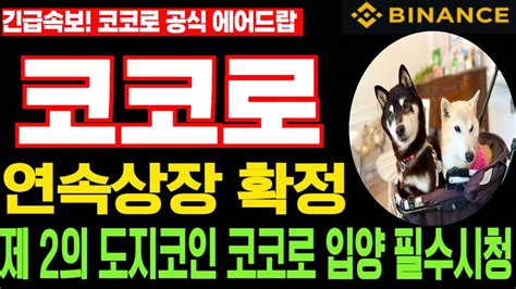 제 2의 도지코인 코코로 공식 밈코인 긴급속보 연속상장 확정 에어드랍 받아가세요 필수시청 코미녀 Youtube