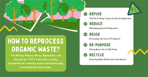 The Rs Refuse Reduce Reuse Repurpose Recycle Guidebest