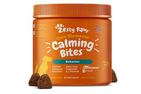 Anxiety Supplements For Dogs 6 To Consider Great Pet Care