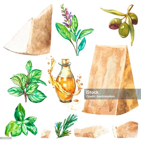 바 질 세이 지 허브와 파 르 메 산 치즈 조각을 설정 합니다 올리브와 오일 흰색 배경에 고립 이탈리아 고전 요리 조미료의의 근접 촬영 손으로 그린 수채화 그림 0명에 대한