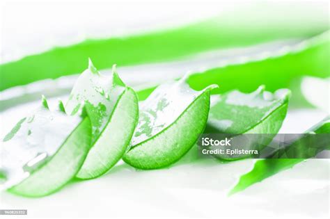 흰색 바탕에 알로에 베라 젤 암 염 미네랄 유기농 스킨 케어 고 민감한 피부를 위한 천연 화장품 썬된 알로에 베라 잎의 닫습니다