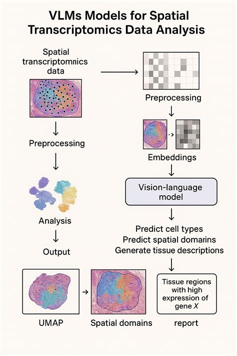 New Horizons In Spatial Transcriptomics The Power Of Very Large Models