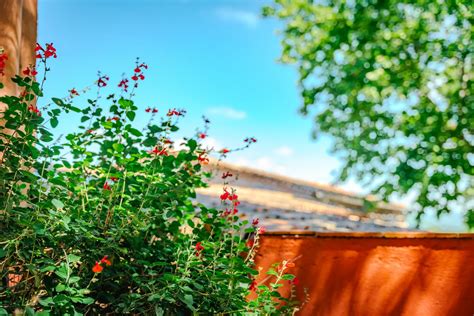 Massage Tantrique Archives Le Hameau De LÉtoile