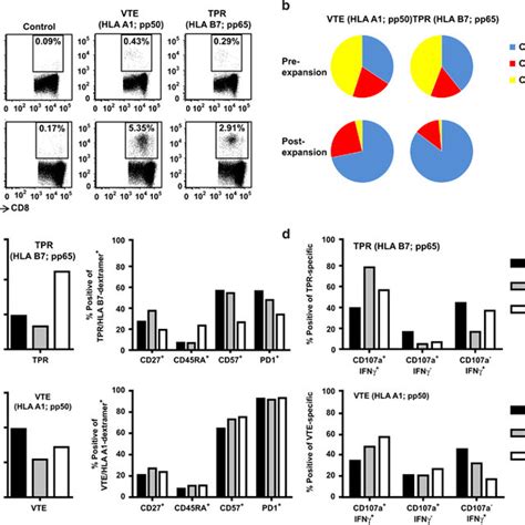 Cmv Replication Before And After Adoptive T Cell Therapy Timeline Of