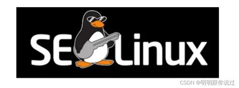 selinux深度解析：安全增强型linux的探索与应用（上） selinux详细发展历史 csdn博客
