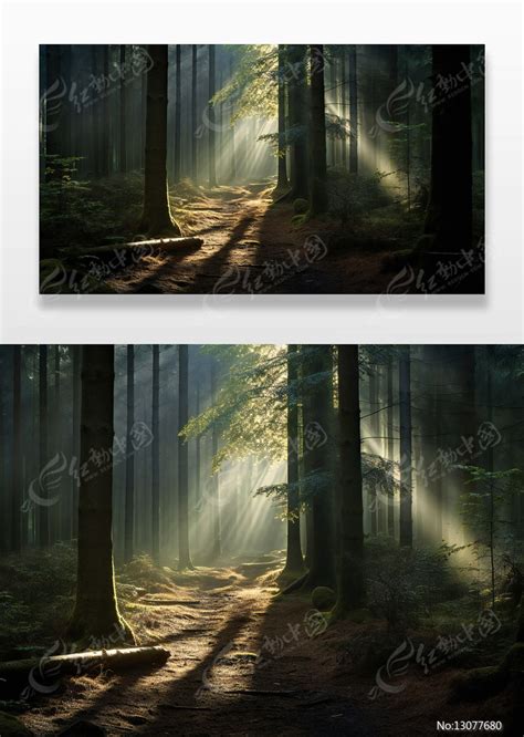 森林中的丁达尔效应插画图片下载红动中国