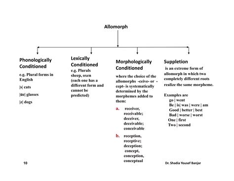 Allomorphs Dr Shadia Yousef Banjar Pdf