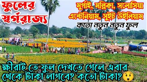 Khirai Valley Of Flowers ক্ষীরাই ফুলের উপত্যকা বাংলার সবথেকে বড় ফুলের বাগান Khirai Tour