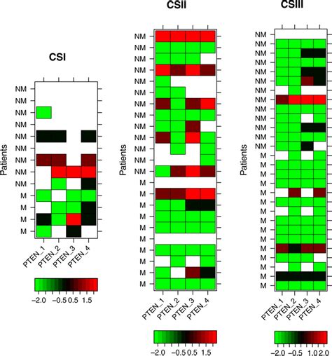 heat maps of pten hybridizations by tissue microarrays tma for csi download scientific