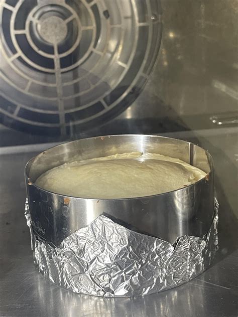 Why Is There A Bug Bubble On My Cheesecake Rbaking