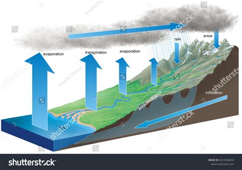 Ecology Fluid Dynamics Water Cycle Evaporation Stock Illustration Shutterstock