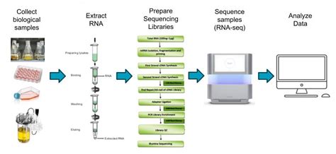 Transcriptomics Agile Biofoundry