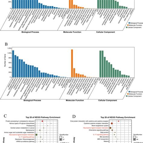 Go And Kegg Enrichment Analysis Of The Degs A And B Go Annotation Of