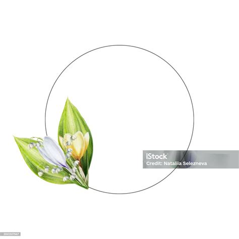 노란색과 흰색의 꽃다발이 있는 수채화 프레임 크로커스 그리고 은방울꽃 흰색 배경에 고립된 꽃 봄과 부활절 식물 손으로 그린