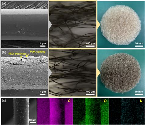 Nano‐micro‐milli Fibrous Structures With Without Polydopamine Download Scientific Diagram