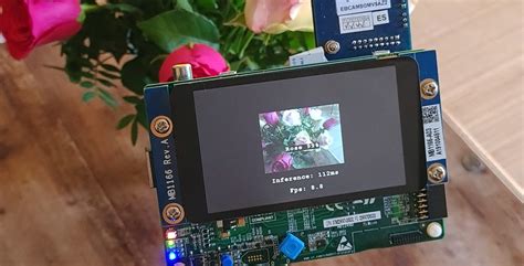 Transfer Learning Applied To Flower Recognition Stmicroelectronics