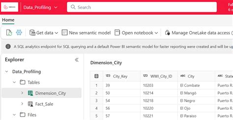 using microsoft fabric for in depth data profiling the meloro fabric blog