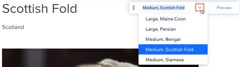 Cms Previewing Dynamic Pages Help Center