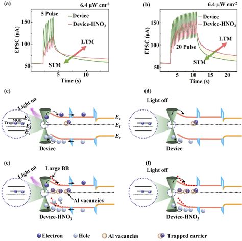 Dependence Of The Epsc Triggered By A 5 And B 20 Light Pulses The Download Scientific