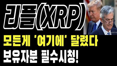 리플 전망 모든게 여기에 달렸다 보유자분 필수시청 Youtube