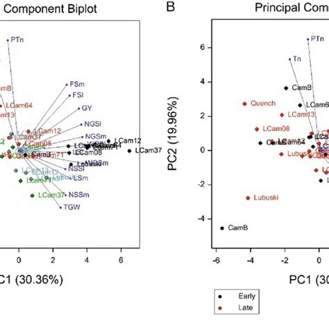 Biplot Visualization Of Variability Of Yield Related Traits Between