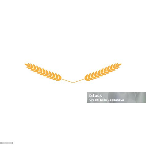 벡터 일러스트 레이 션의 전체 곡물 노란색 밀 호 밀 또는 보 리 작물 수확 기호 또는 아이콘 흰색 배경에 고립 밀 호 밀 또는 보 리 귀 밀 화 환입니다 베이커리