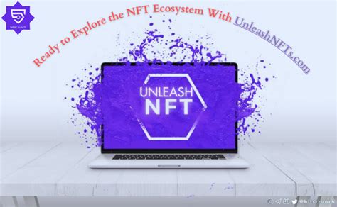 elevating nft analytics with bitscrunch network your key to secure nft
