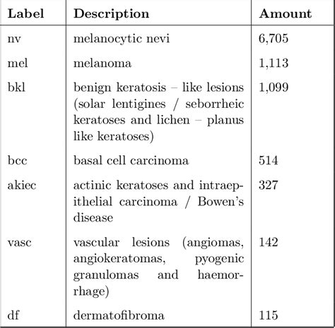 Table 1 From Skin Lesion Diagnosis Using Convolutional Neural Networks Semantic Scholar