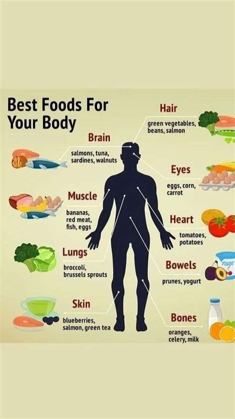 Nash Diet Reverse Nonalcoholic Steatohepatitis Fatty Liver Disease Artofit