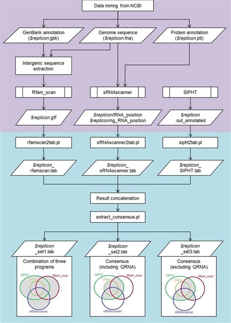 Pipeline For Bacterial Srna Gene Prediction The Steps In The Purple Download Scientific