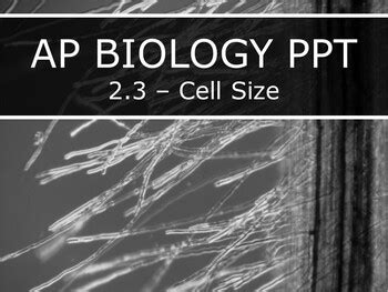 AP Biology Unit Cell Structure Function PPT BUNDLE
