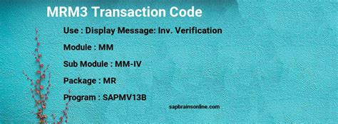 MRM3 SAP Tcode For Display Message Inv Verification