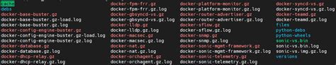 Processes Inside Docker Containers Are Not Running Issue Sonic