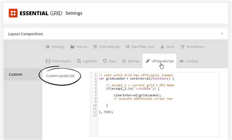 Custom Css Javascript Essential Grid Wordpress Gallery Plugin