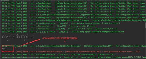 Springboot263读取不到nacos上的配置文件springboot读取不到nacos配置 Csdn博客