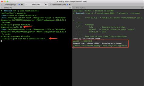 使用frida绕过ios反调试 Secpulsecom 安全脉搏 使用frida绕过ios反调试 Secpulsecom 安全脉搏