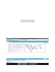 CYB 210 Computer Networking Module 2 Packet Tracer Activity IP Course Hero