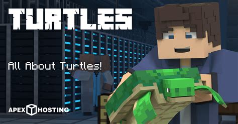 House Turtle Minecraft At Erin Wright Blog