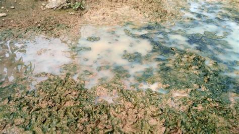 Page 6 Subburbs Images Free Download On Freepik