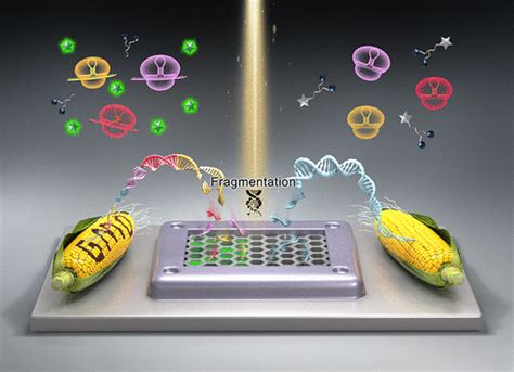 A Localized Crispr Assay That Detects Short Nucleic Acid Fragments In Unamplified Genetically