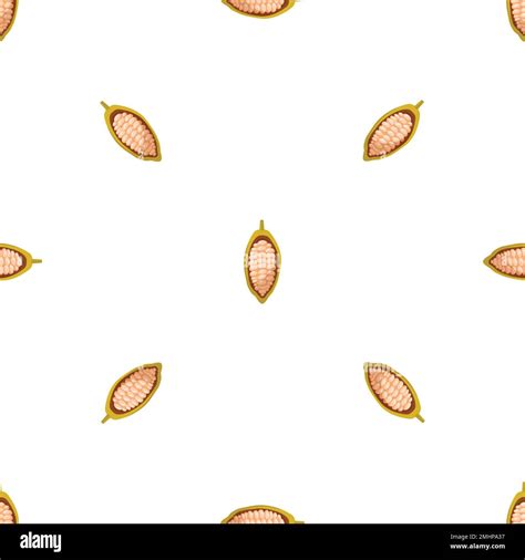 Raw Cacao Fruit Pattern Seamless Vector Stock Vector Image And Art Alamy