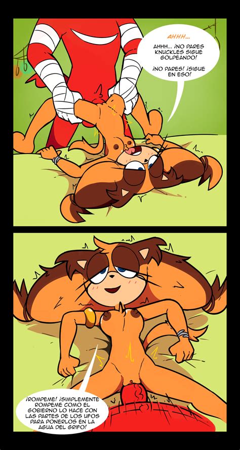 Sticks X Knuckles Misconamour