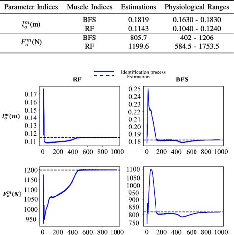 Figure 1 From Physics Informed Deep Learning For Muscle Force Prediction With Unlabeled Semg